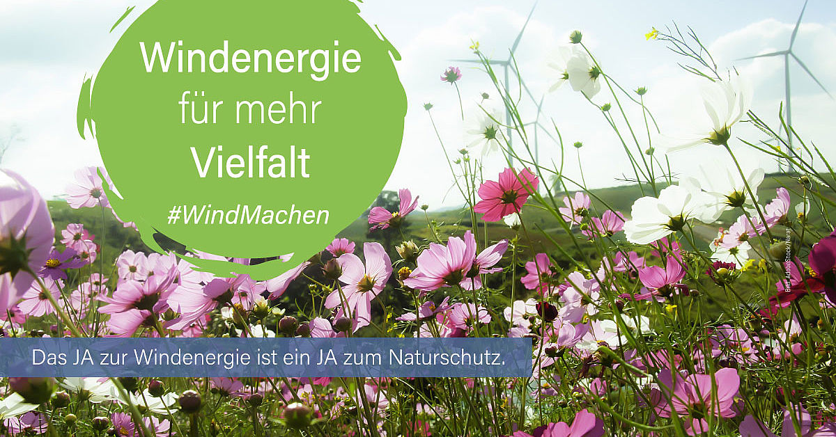 Windenergie für mehr Vielfalt | BWE e.V.
