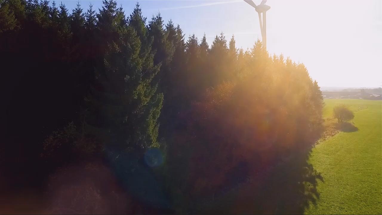 Startseite | BWE e.V.